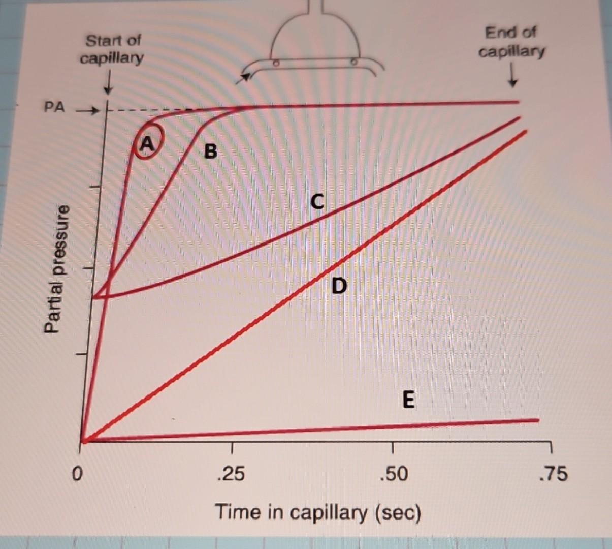 [Solved]: A study is performed to evaluate the diffusion cap