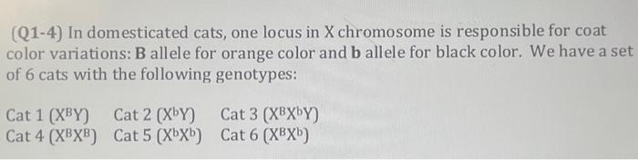 Solved (Q1-4) In domesticated cats, one locus in X | Chegg.com