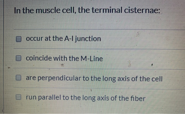 Solved In the muscle cell, the terminal cisternae: occur at | Chegg.com
