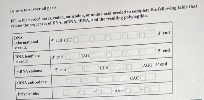 Solved rill in the needed bases, codon, anticodon, or amino | Chegg.com