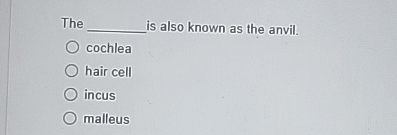 Solved The is also known as the anvil.cochleahair | Chegg.com