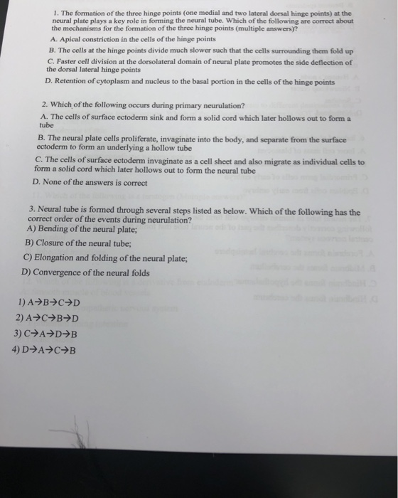 Solved 1. The formation of the three hinge points (one | Chegg.com