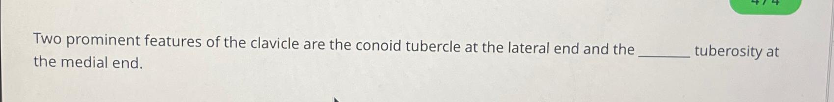 Solved Two prominent features of the clavicle are the conoid | Chegg.com