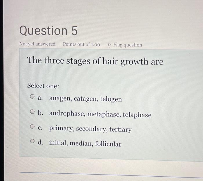 Solved Question 5 Not yet answered Points out of 1.00 P Flag | Chegg.com
