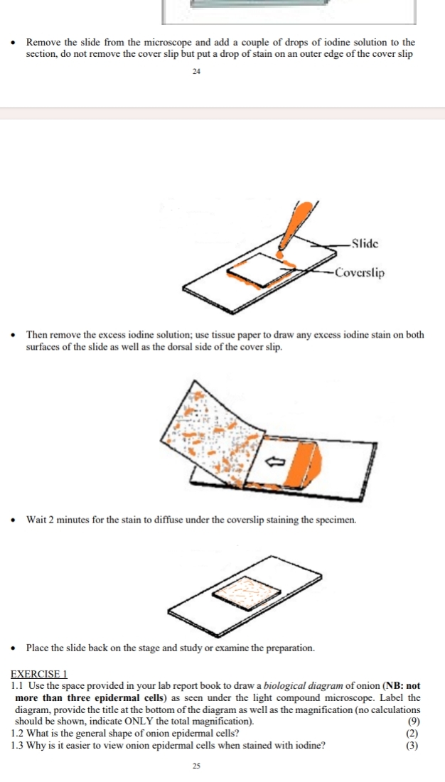 Solved Remove the slide from the microscope and add a couple | Chegg.com