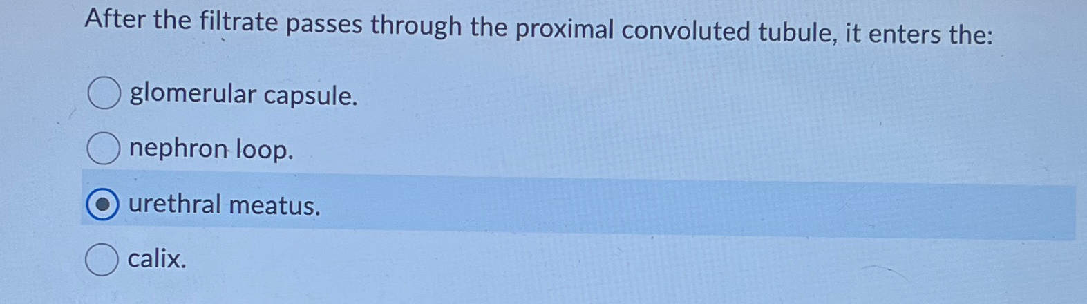 Solved After the filtrate passes through the proximal | Chegg.com