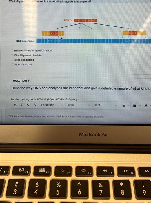 Solved F2 What alignment algorithm would the following image | Chegg.com