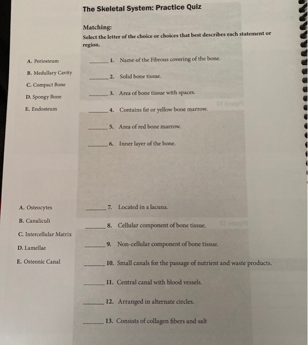 Solved The Skeletal System: Practice Quiz Matching: Select | Chegg.com