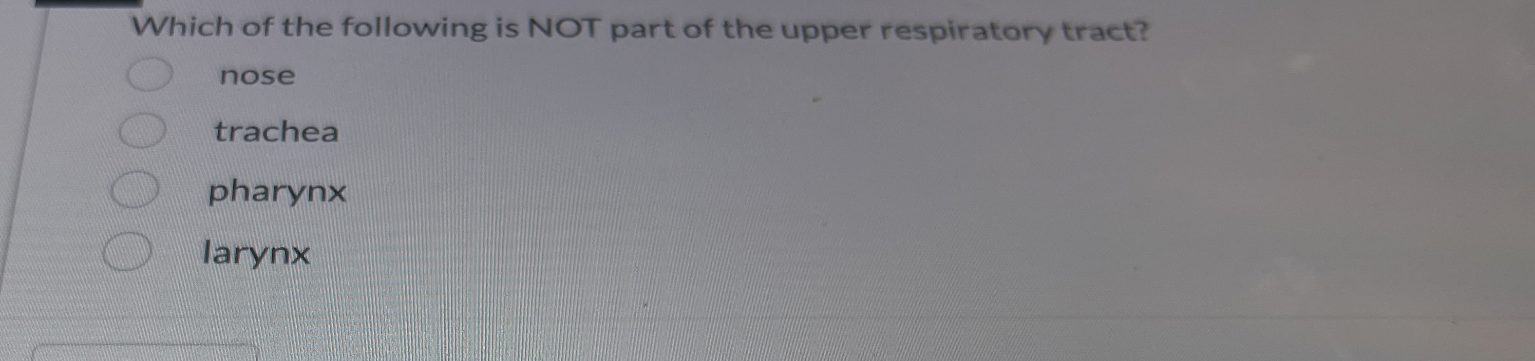 Solved Which of the following is NOT part of the upper | Chegg.com