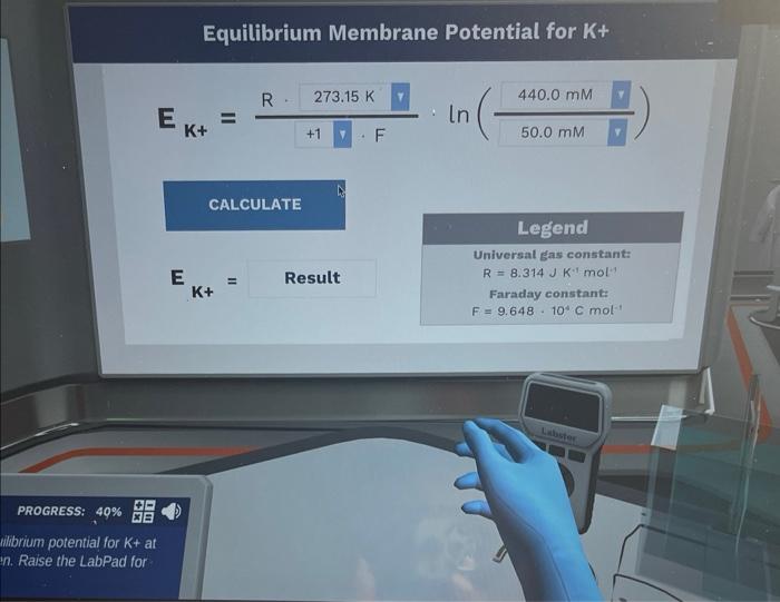 Solved Equilibrium Membrane Potential for K+ EK+=+1+FR⋅⋅ln() | Chegg.com