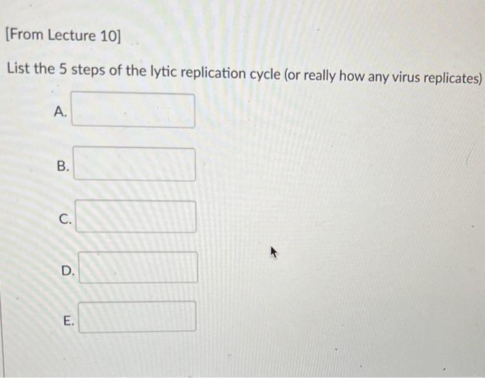 Solved List the 5 steps of the lytic replication cycle (or | Chegg.com
