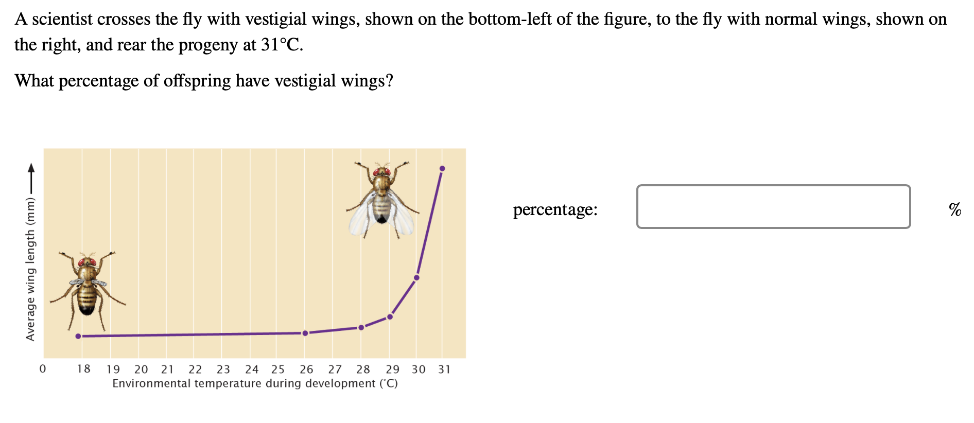 Solved A scientist crosses the fly with vestigial wings, | Chegg.com