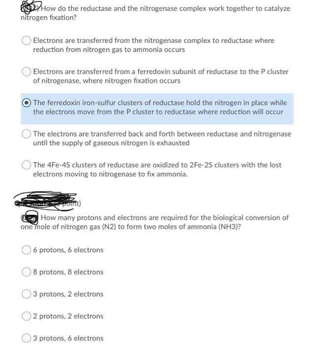 Solved How do the reductase and the nitrogenase complex work | Chegg.com