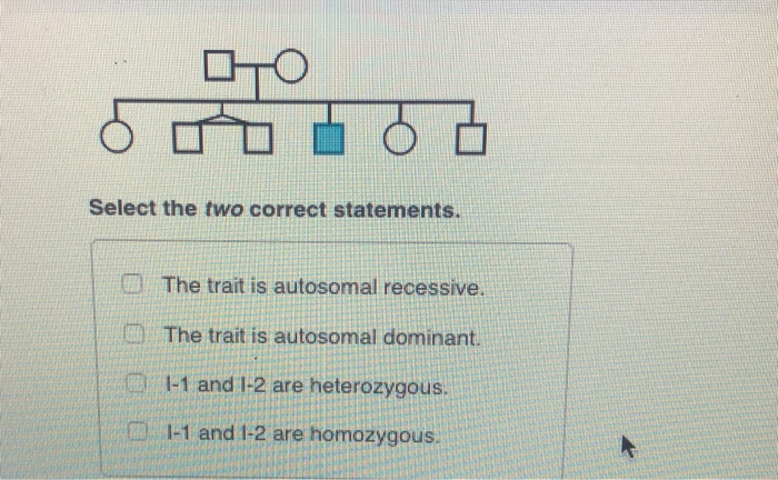 Solved GO oooo Select the two correct statements. The trait | Chegg.com