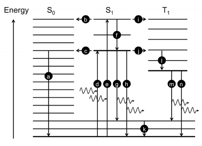 Solved (2) The simplified electronic/vibrational/rotational | Chegg.com