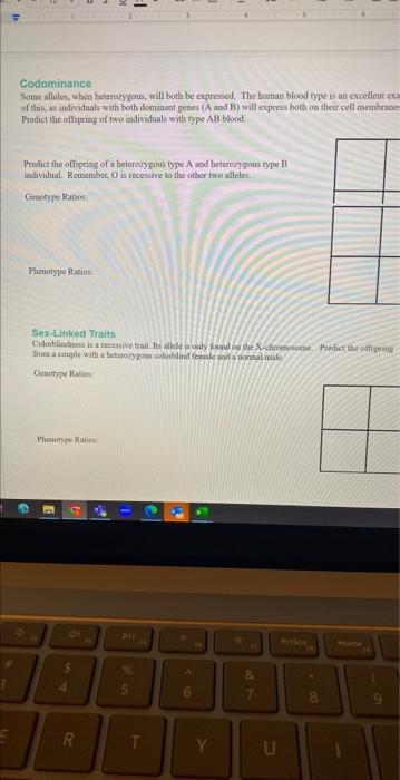 Solved Codominance Some alleles, when beterorygous, wall | Chegg.com