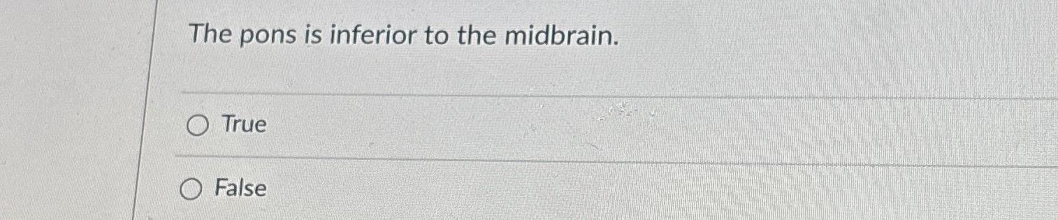 Solved The pons is inferior to the midbrain.TrueFalse | Chegg.com