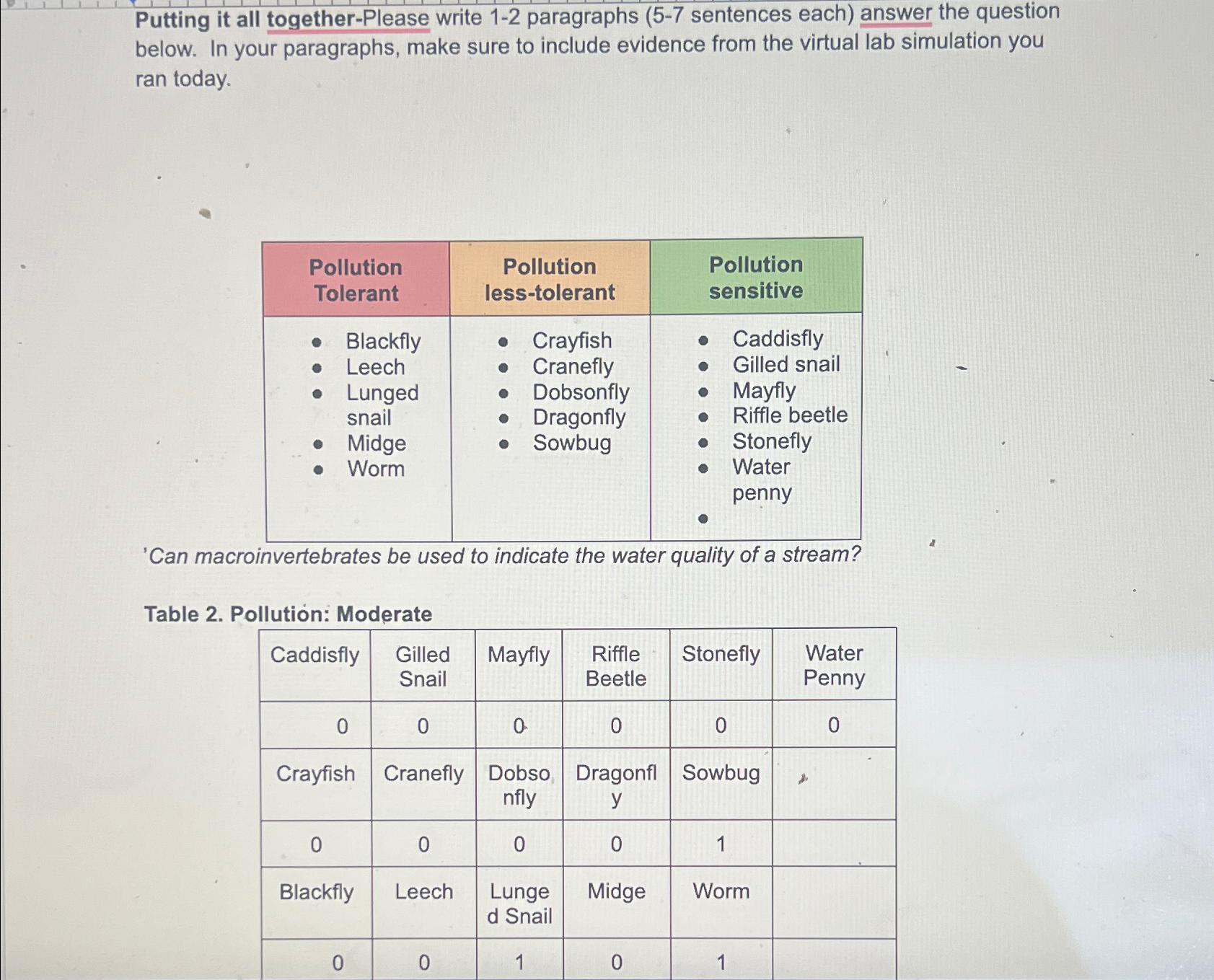 Solved Putting it all together-Please write 1-2 ﻿paragraphs | Chegg.com