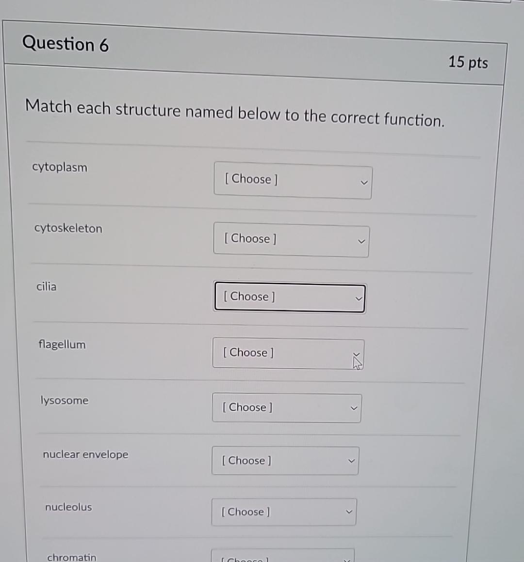Solved Question 615ptsMatch each structure named below to | Chegg.com