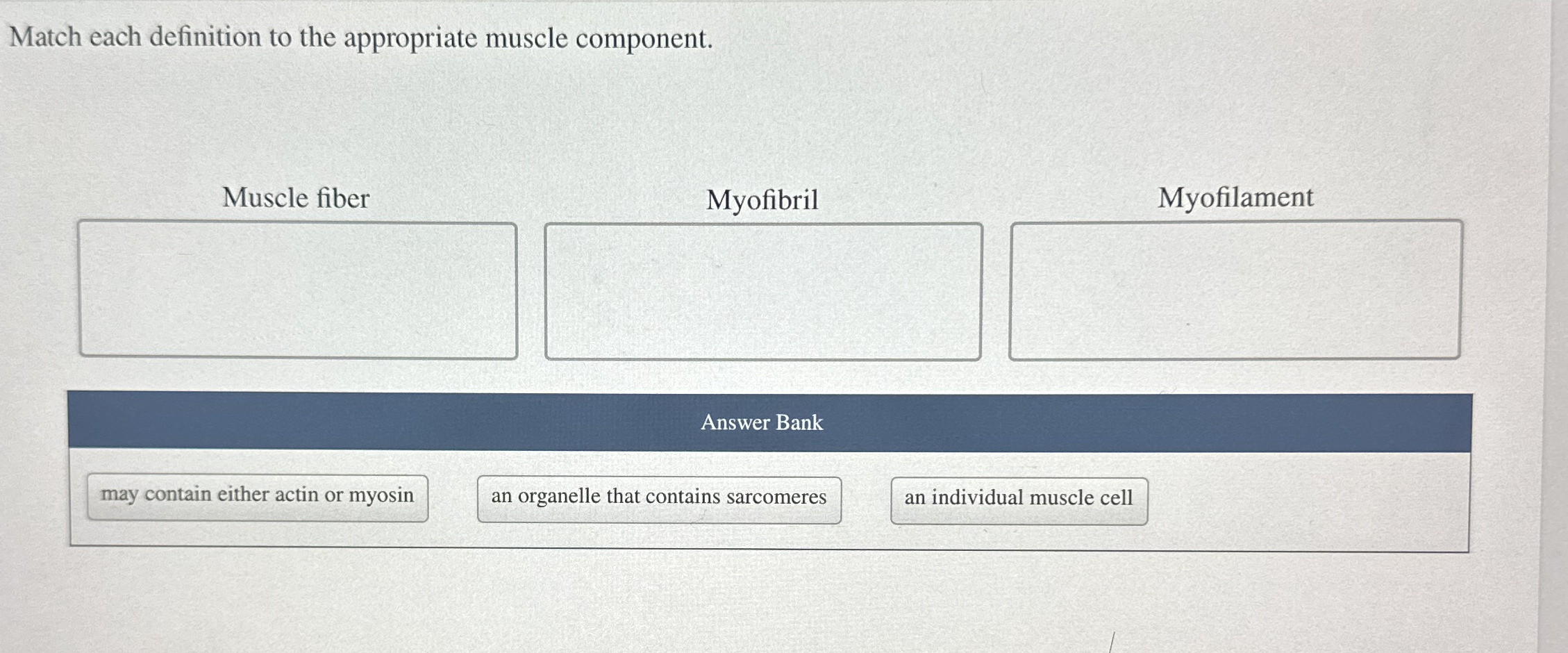 Solved Match each definition to the appropriate muscle | Chegg.com