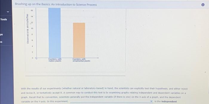 Solved Tools ps S Brushing up on the Basics: An Introduction | Chegg.com
