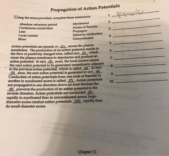 Solved Propagation of Action Potentials 1. propagate 2. | Chegg.com