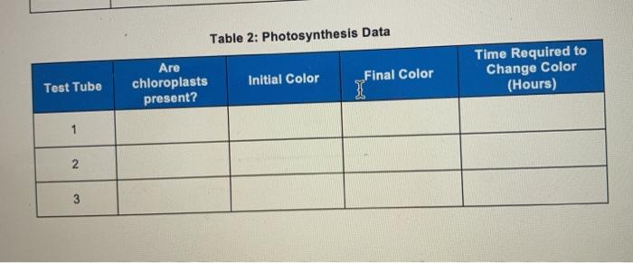 Table 2: Photosynthesis Data Final Color Time | Chegg.com