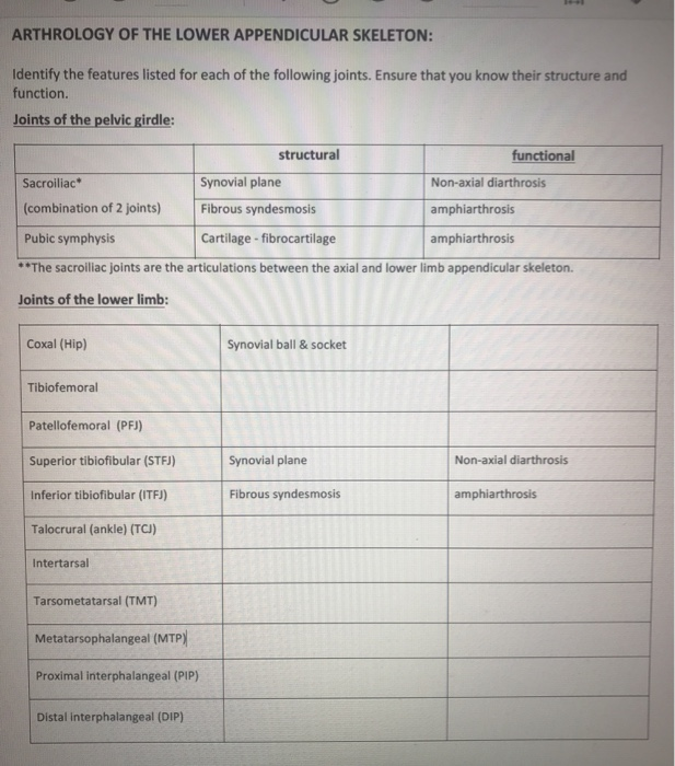 Solved ARTHROLOGY OF THE LOWER APPENDICULAR SKELETON: | Chegg.com