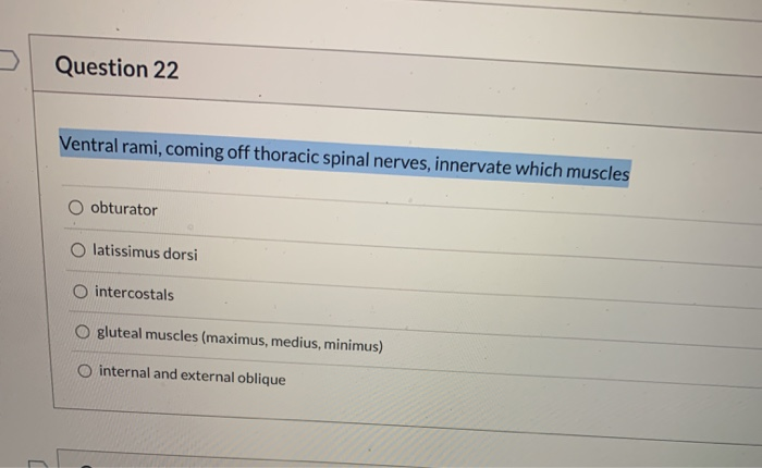 Solved Question 22 Ventral rami, coming off thoracic spinal | Chegg.com