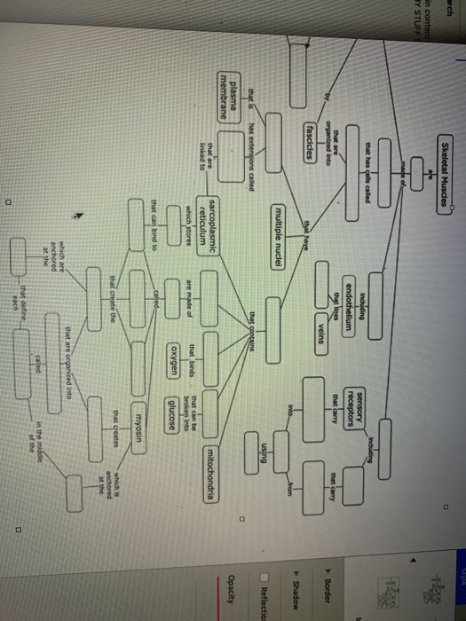 Skeletal Muscles Complete the Concept Map on the | Chegg.com