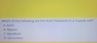 Solved Which of the following are the thick filaments in a | Chegg.com