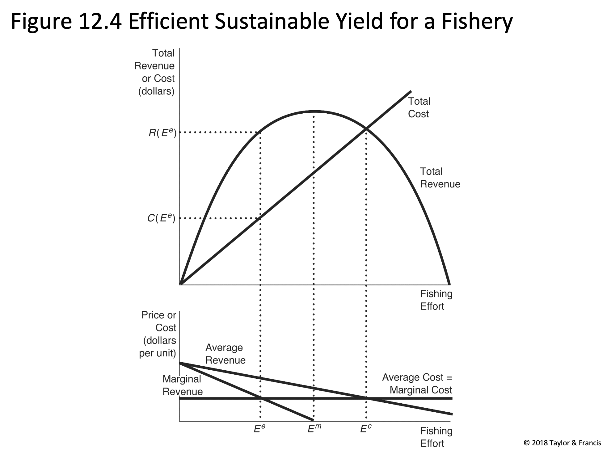 Solved Interpret Figure 12.4 ﻿Efficient Sustainable Yield | Chegg.com
