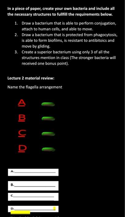 In a piece of paper, create your own bacteria and | Chegg.com
