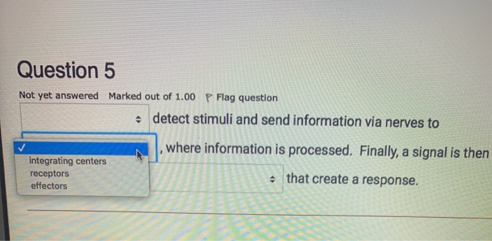 Solved Question 5 Not yet answered Marked out of 1.00 P Flag | Chegg.com