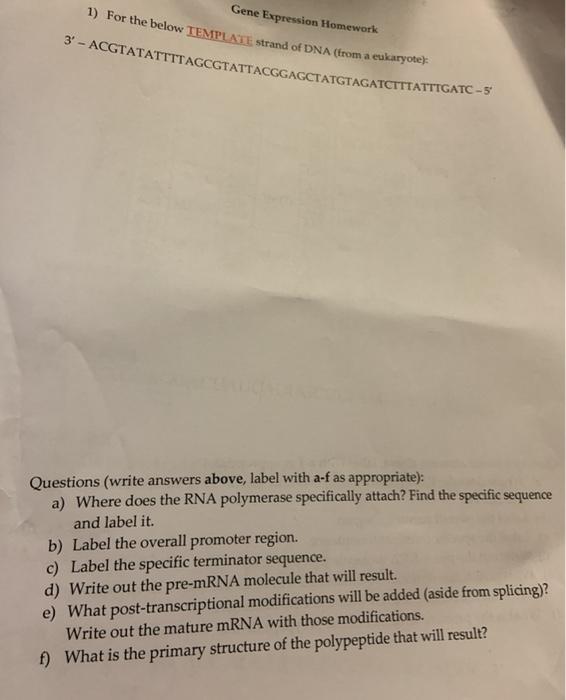 Solved Gene Expression Homework 1) For the below TEMPLATE | Chegg.com