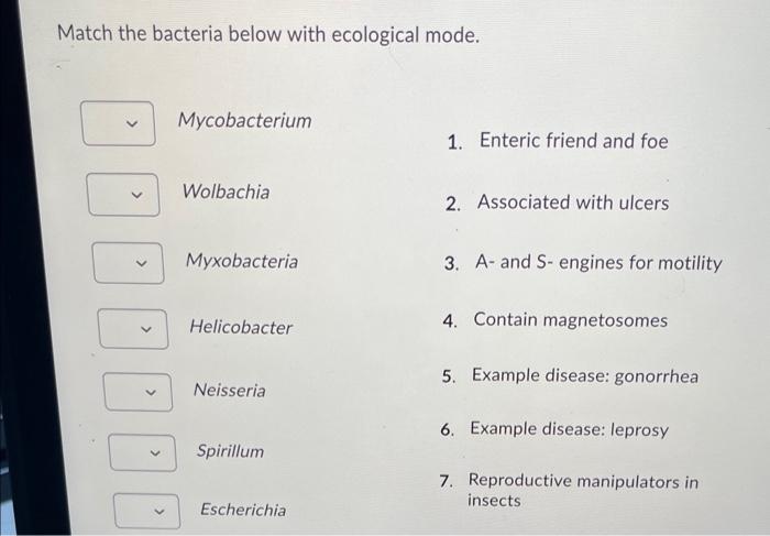 Solved Match the bacteria below with ecological mode. | Chegg.com