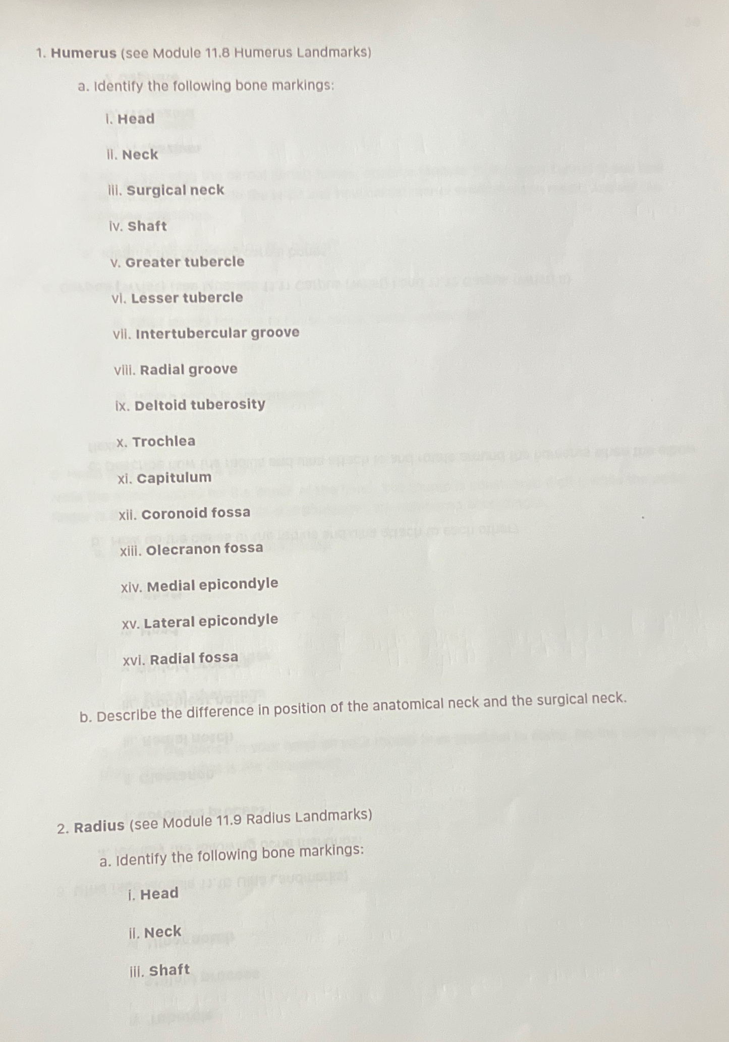 Solved Humerus (see Module 11.8 ﻿Humerus Landmarks)a. | Chegg.com