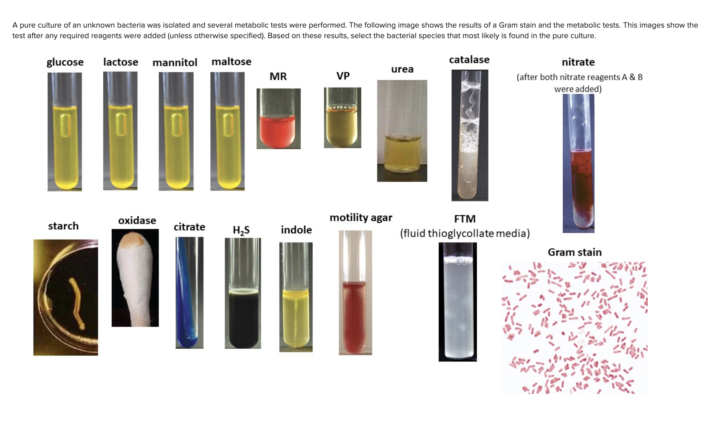 Solved test after any required reagents were added (unless | Chegg.com