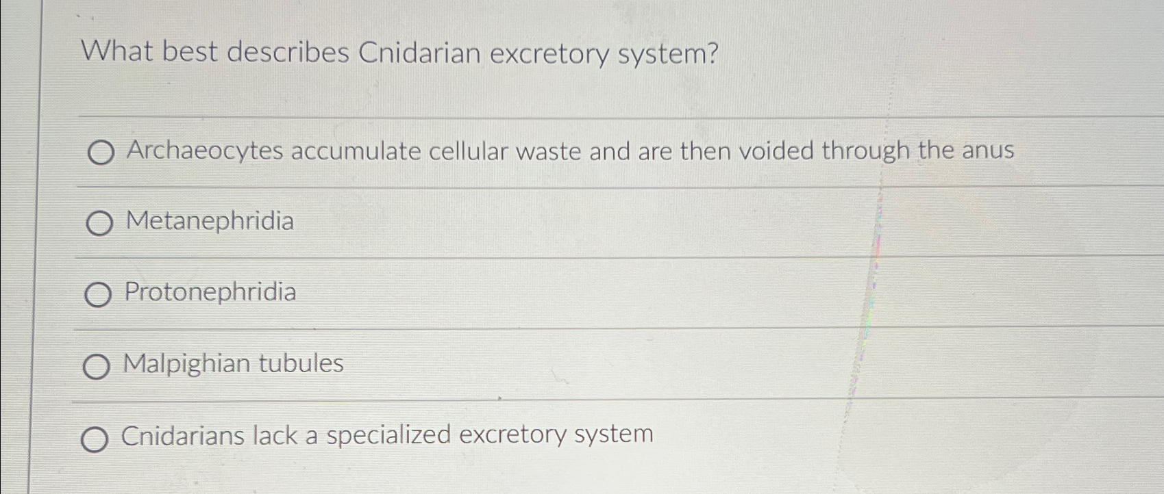 Solved What best describes Cnidarian excretory | Chegg.com