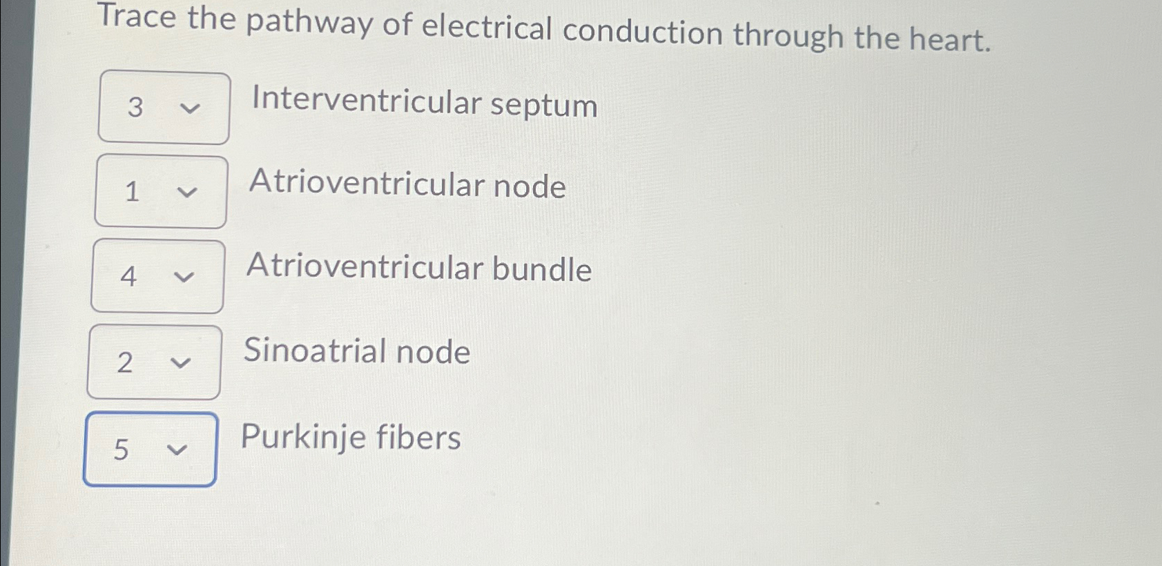 Solved Trace the pathway of electrical conduction through | Chegg.com