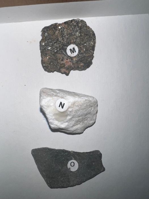 N1. A possible protolith for Sample M is: a. | Chegg.com