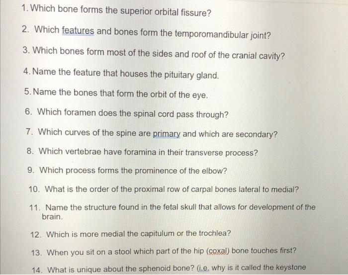 Solved 1. Which bone forms the superior orbital fissure? 2. | Chegg.com