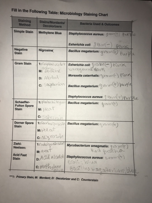 Fill in the Following Table: Microbiology Staining | Chegg.com