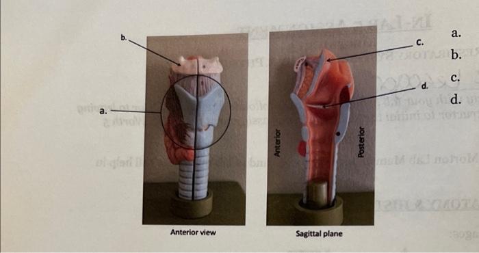 Solved label the image | Chegg.com