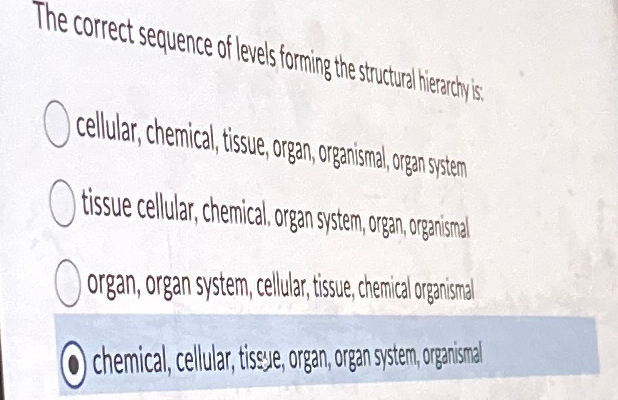 Solved The correct sequence of levels forming the structural | Chegg.com