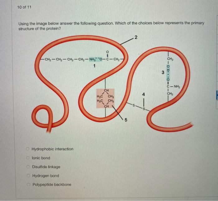 Solved Which Of The Following Statements Is True Of Enzymes