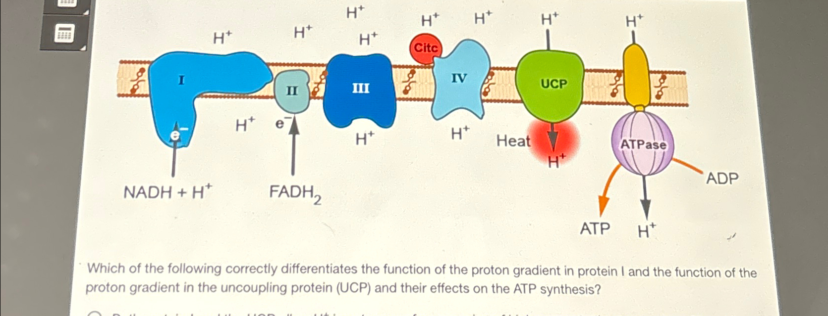 Solved Which of the following correctly differentiates the | Chegg.com