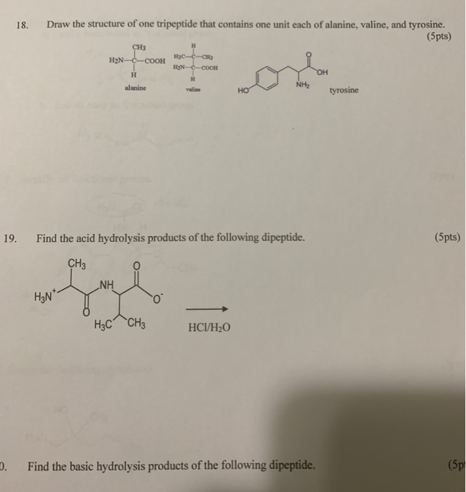 Solved 18. Draw the structure of one tripeptide that | Chegg.com
