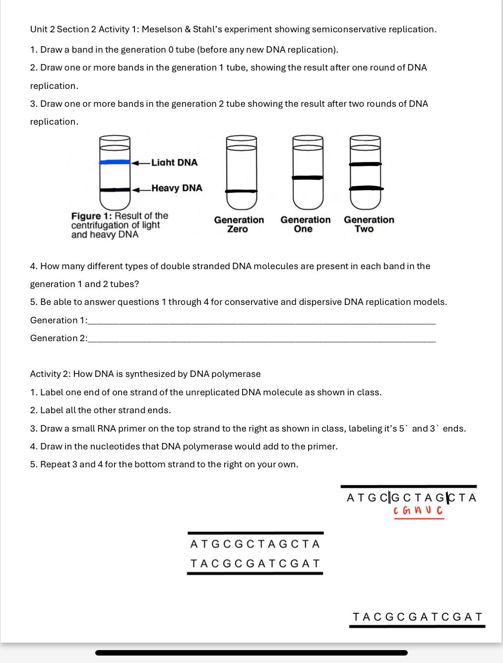 Solved Unit 2 ﻿Section 2 ﻿Activity 1: Meselson & Stahl's | Chegg.com