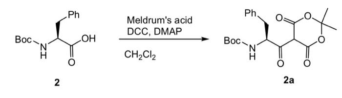 Solved \begin{tabular}{l} Meldrum's acid \\ DCC, DMAP \\ | Chegg.com